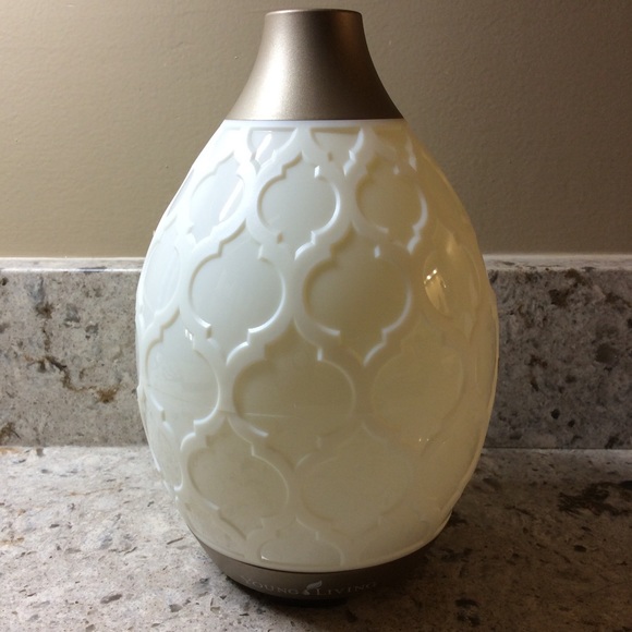 Young Living | Other | Young Living Desert Mist Diffuser | Poshmark